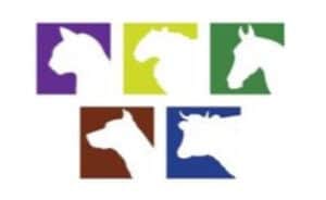 CVS Farm Vets - The Leading Farm Vets for Northern Ireland